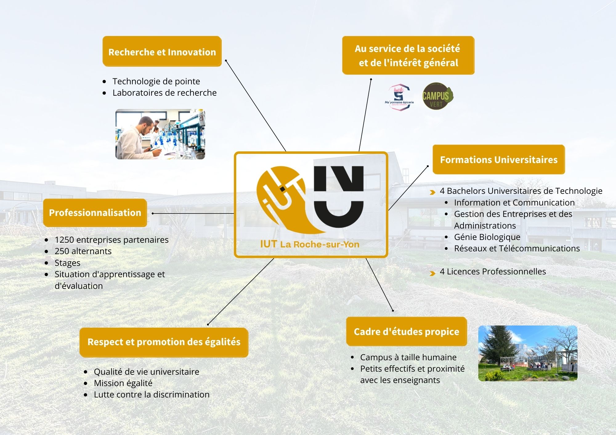 Un IUT dédié à la réussite de ses étudiant.e.s